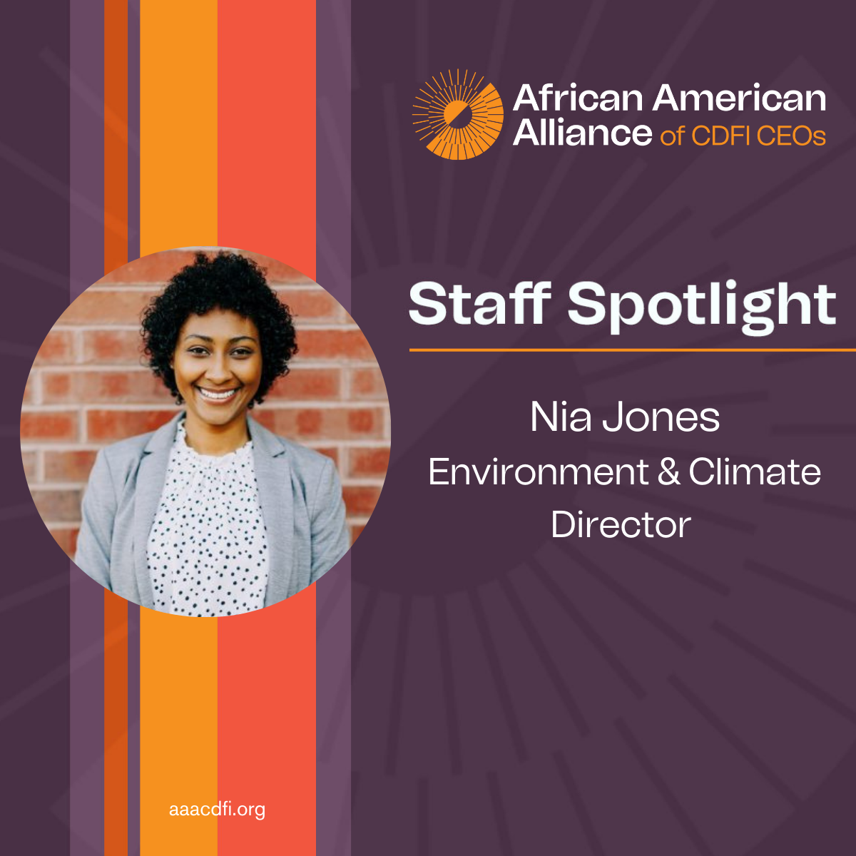 A Spotlight on Nia Jones: Environment & Climate Director - African ...